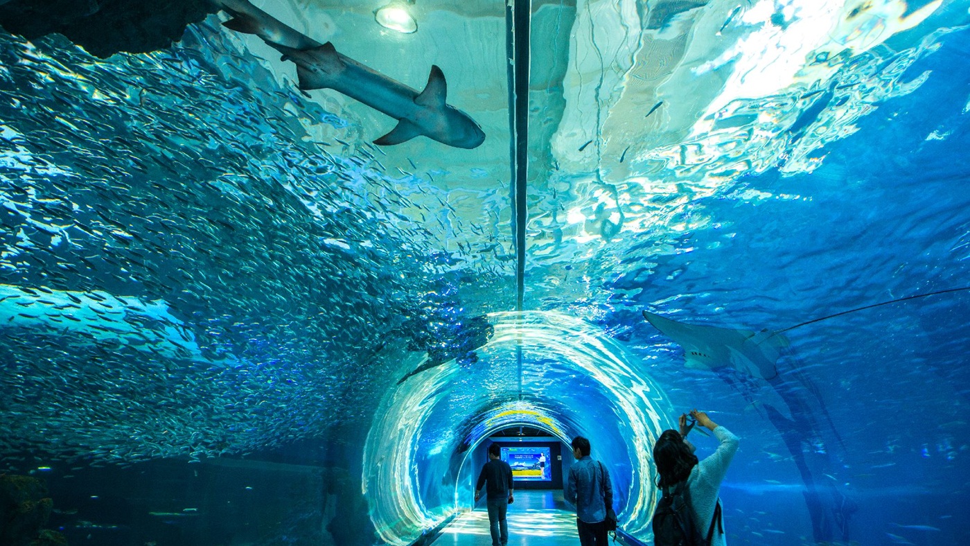Hanwha Aqua Planet 63 Tickets