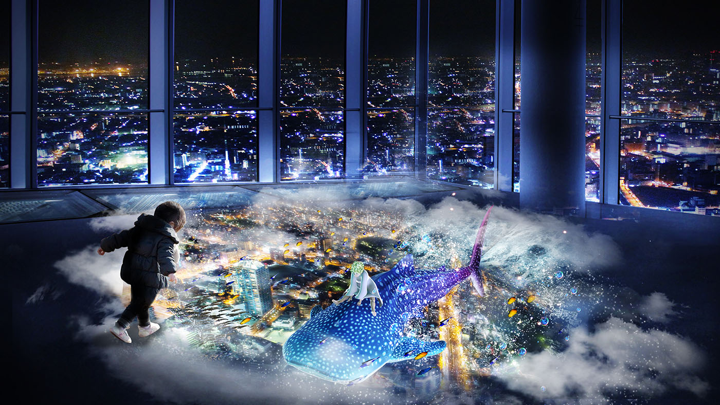 Osaka Harukas 300 Observatory Ticket